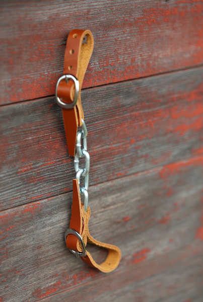 Thin Single Link Curb Chain Silver – Kerry Kelley Bits & Spurs